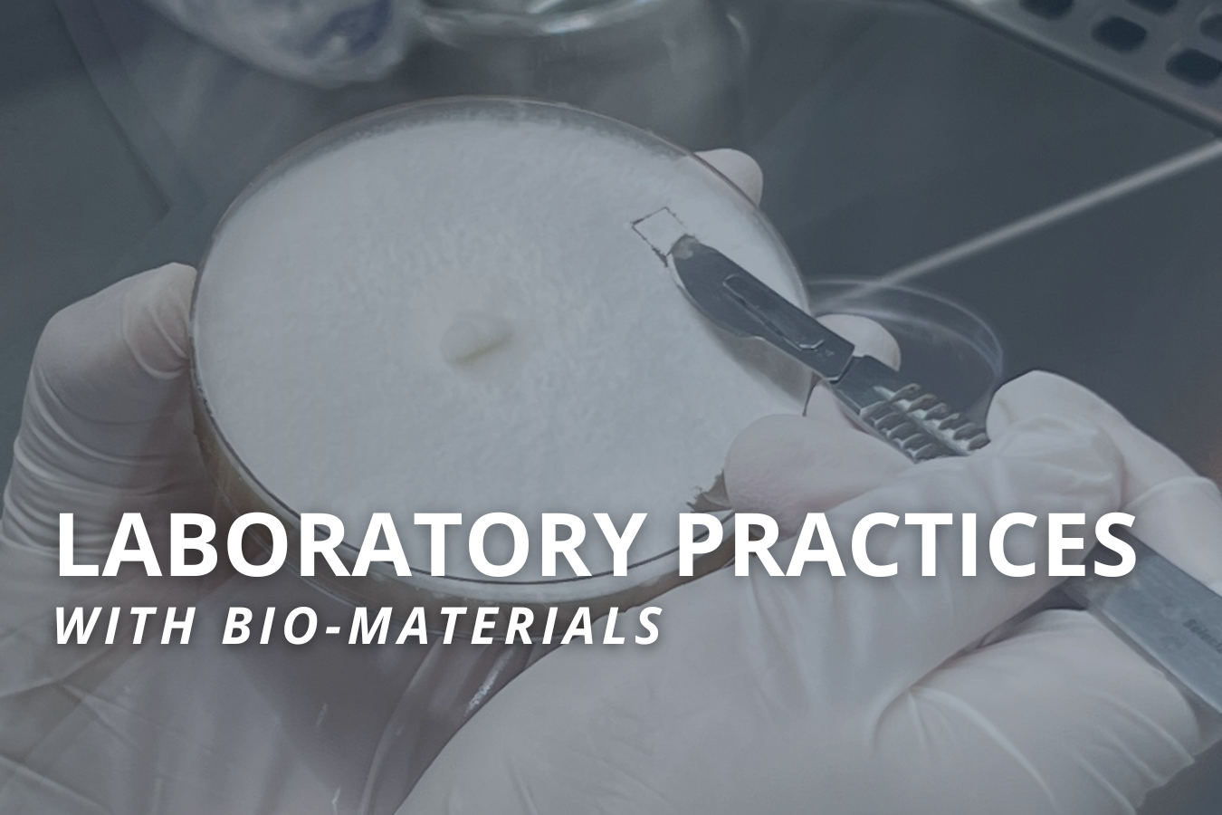 Laboratory Practices with Bio-Materials (2nd edition) - BioLab Lisboa